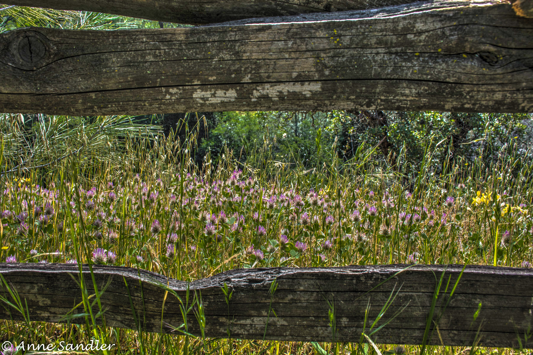 April 2016 – Slow Shutter Speed