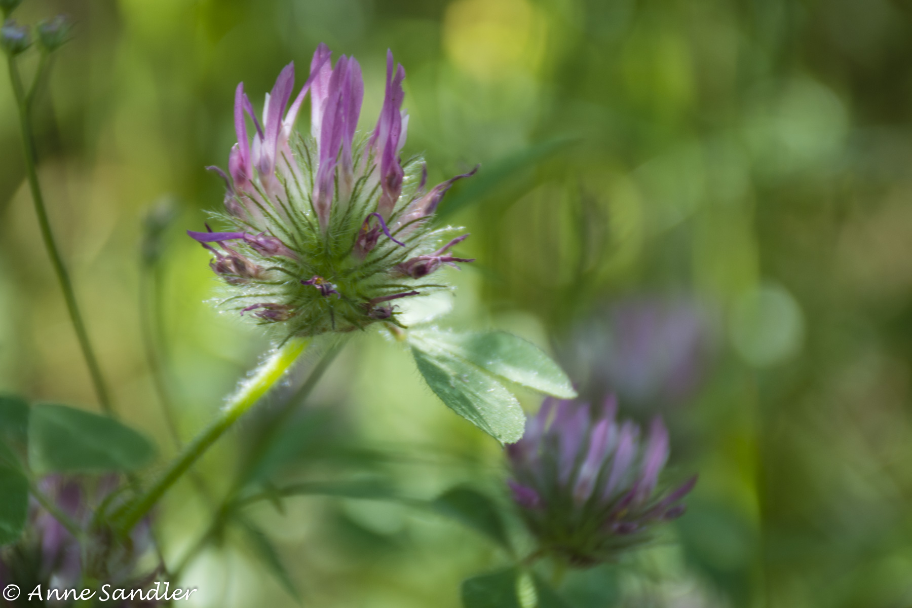April 2016 – Slow Shutter Speed