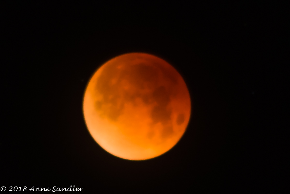 This and that: Two Mandarin ducks and lunar eclipse – Slow Shutter Speed